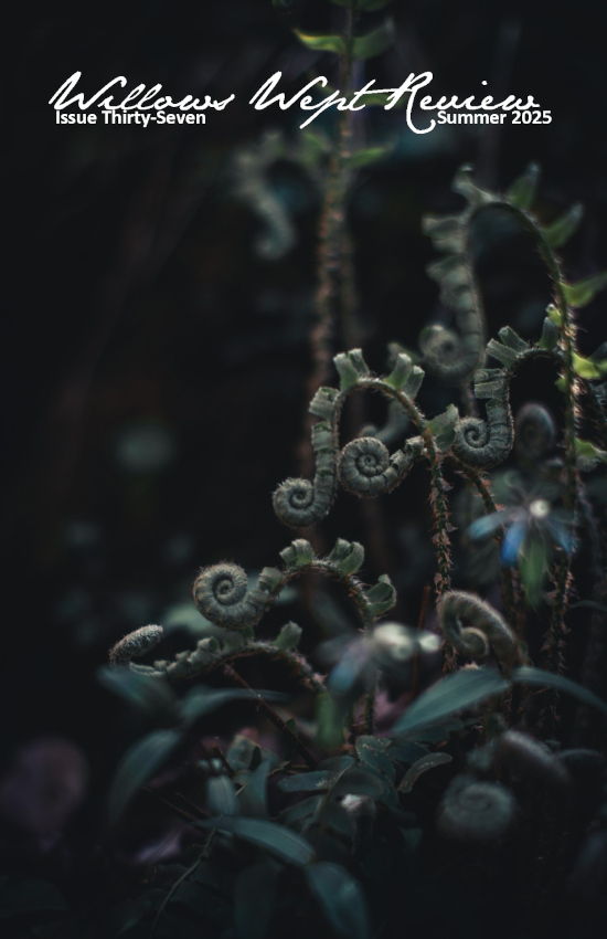 Issue Thirty-Seven: Summer 2025 | WILLOWS WEPT REVIEW